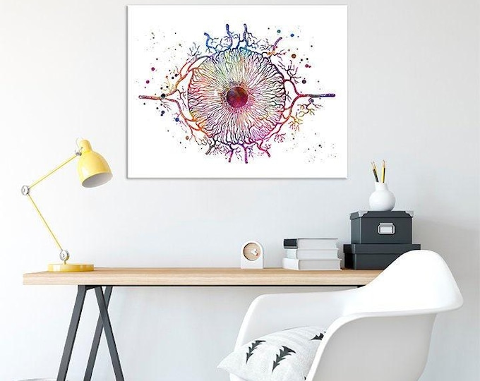 Human Eye Anatomy Art Print Iris and Pupil Close up Poster ...