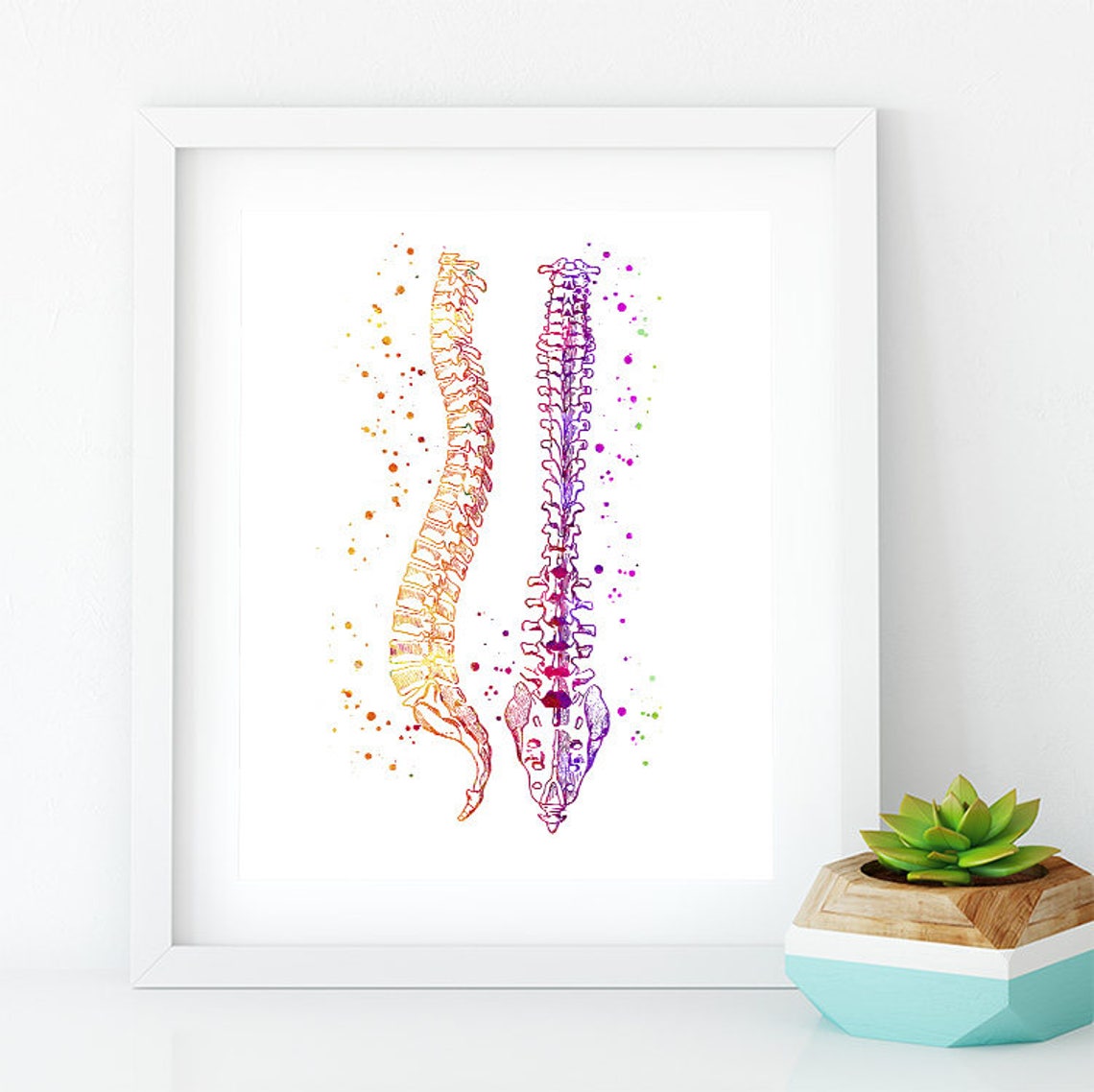Spinal Column Human Spine Anatomy Art Watercolor Print | Etsy