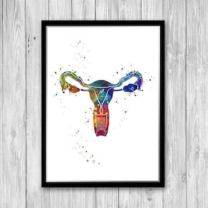 Arte de anatomía del útero, impresión en acuarela, sistema reproductor ...