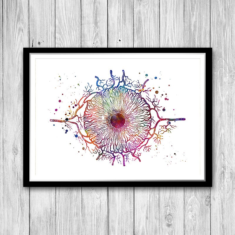 Iris Eye Anatomy Watercolor Print Optometry Ophthalmology Art | Etsy