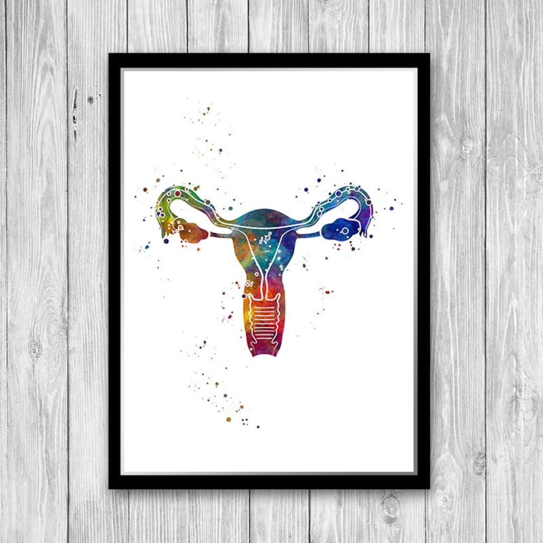 Uterus Anatomy Art Watercolor Print Female Reproductive System Doctor ...