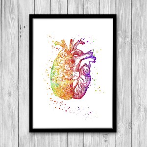 Anatomy Set of 3 Prints, Anatomy Art Brain and Heart Doctors Office ...