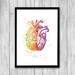 Anatomy Set of 3 Prints, Anatomy Art Brain and Heart Doctors Office ...
