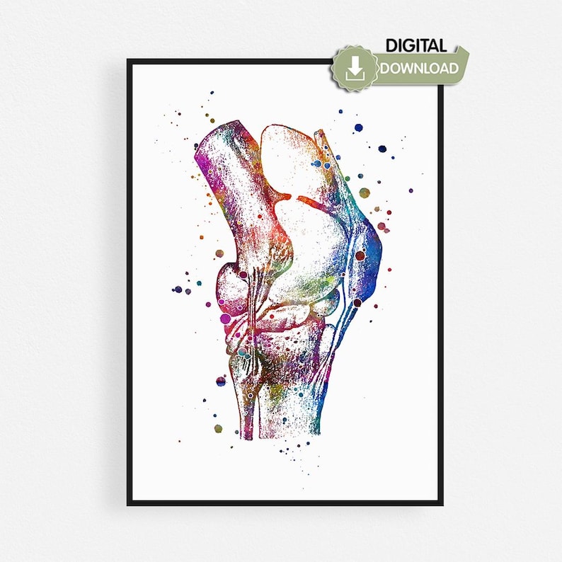 Knee Anatomy Print, Watercolor Knee Joint Art, Orthopedic Office Decor ...