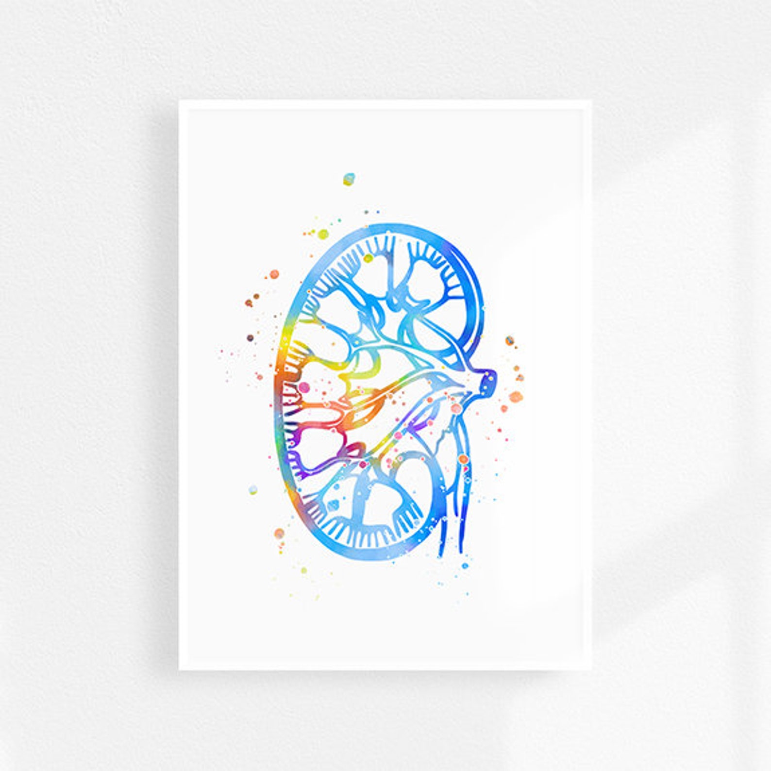 Urologist Gift, Urology Art Set Prints, Watercolor Anatomy Prints for ...
