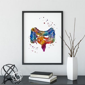 Large and Small Intestine Watercolor Print, Gi Tract Anatomical Poster ...