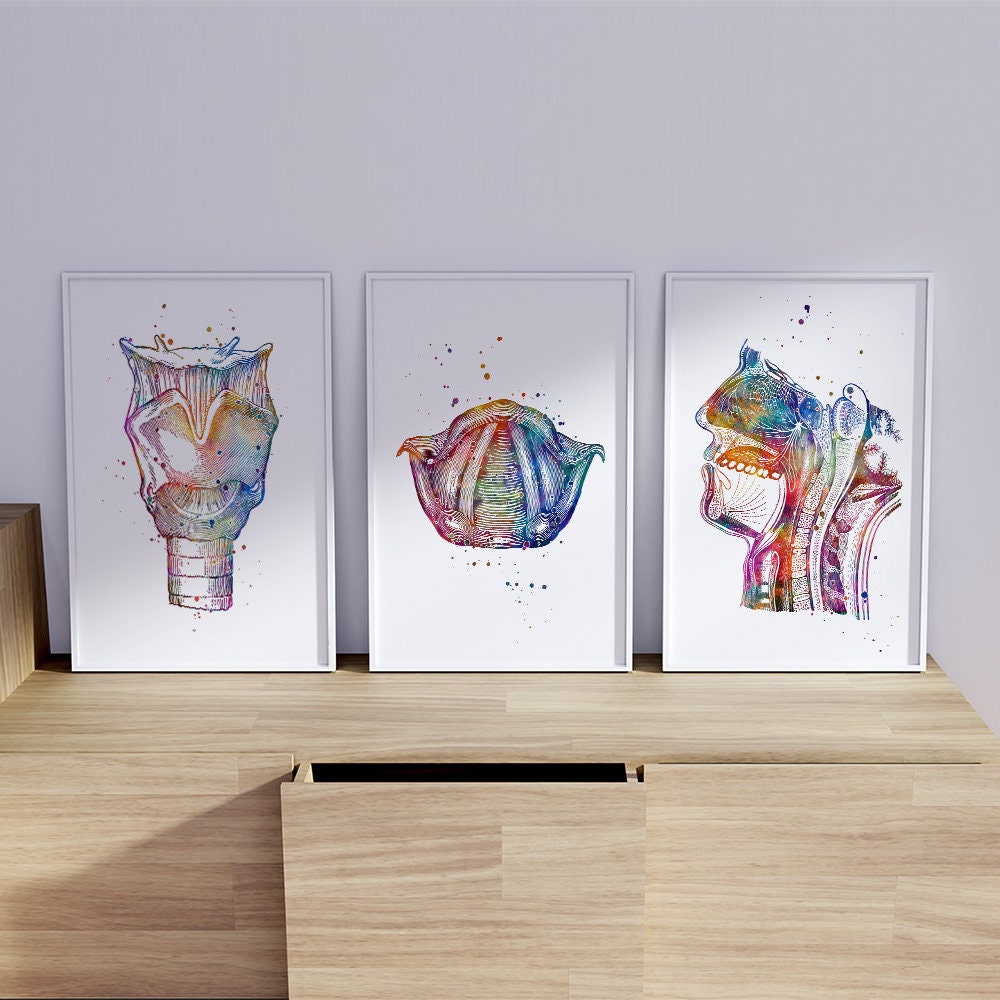 Speech Language Therapy Anatomy Art Prints, SLP Doctor Office Decor ...