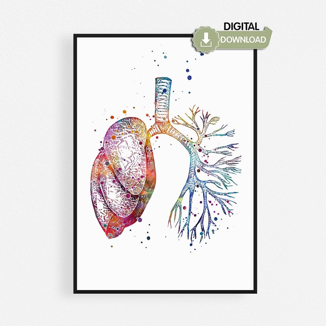 Lung Anatomy Printable, Watercolor Respiratory Poster, Pulmonology Wall ...