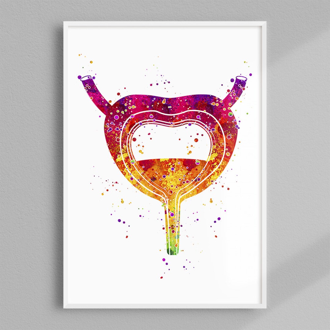 Urology Print, Urinary System Bladder Watercolor Artwork, Vibrant Wall ...