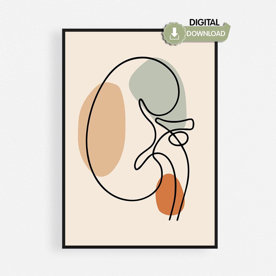 Kidney Printable, One Line Kidney Art, Boho Anatomy Decor, Nephrology ...
