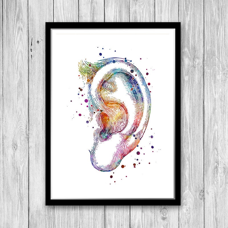 Audiology Art Human Ear Anatomy Watercolor Prints Set of 4 - Etsy UK