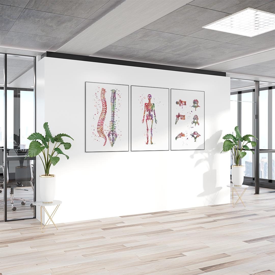 Chiropractic Art Prints, Set of 3 Watercolor Medical Posters ...
