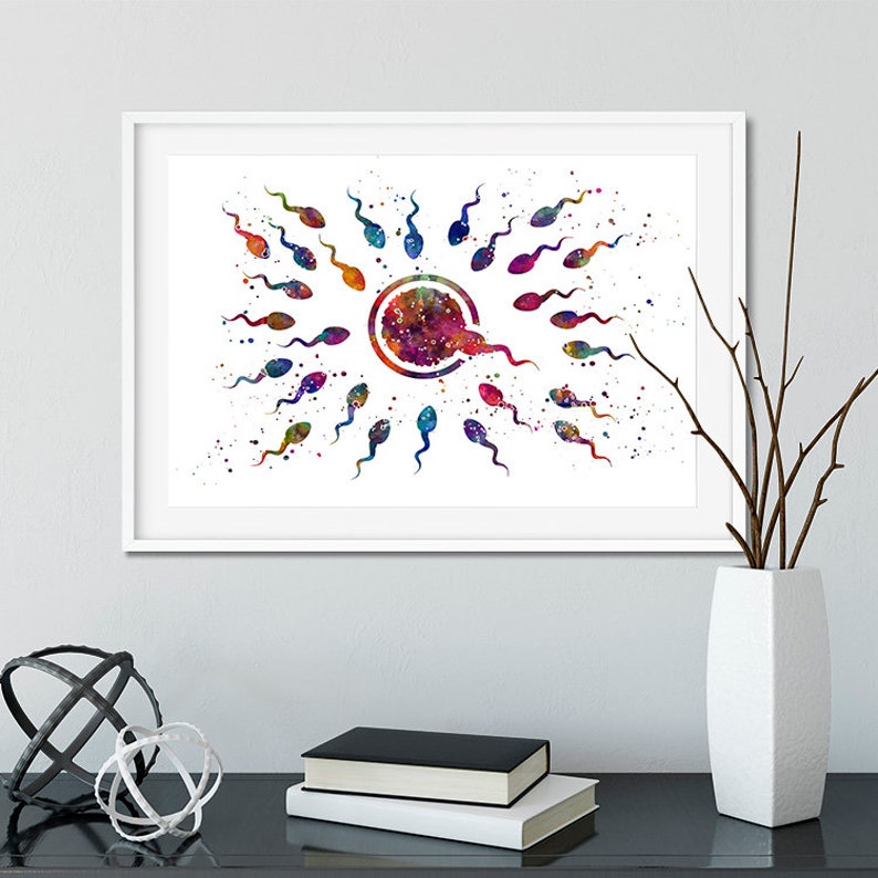 Human Fertilization Egg and Sperm Watercolor Art Print - Etsy