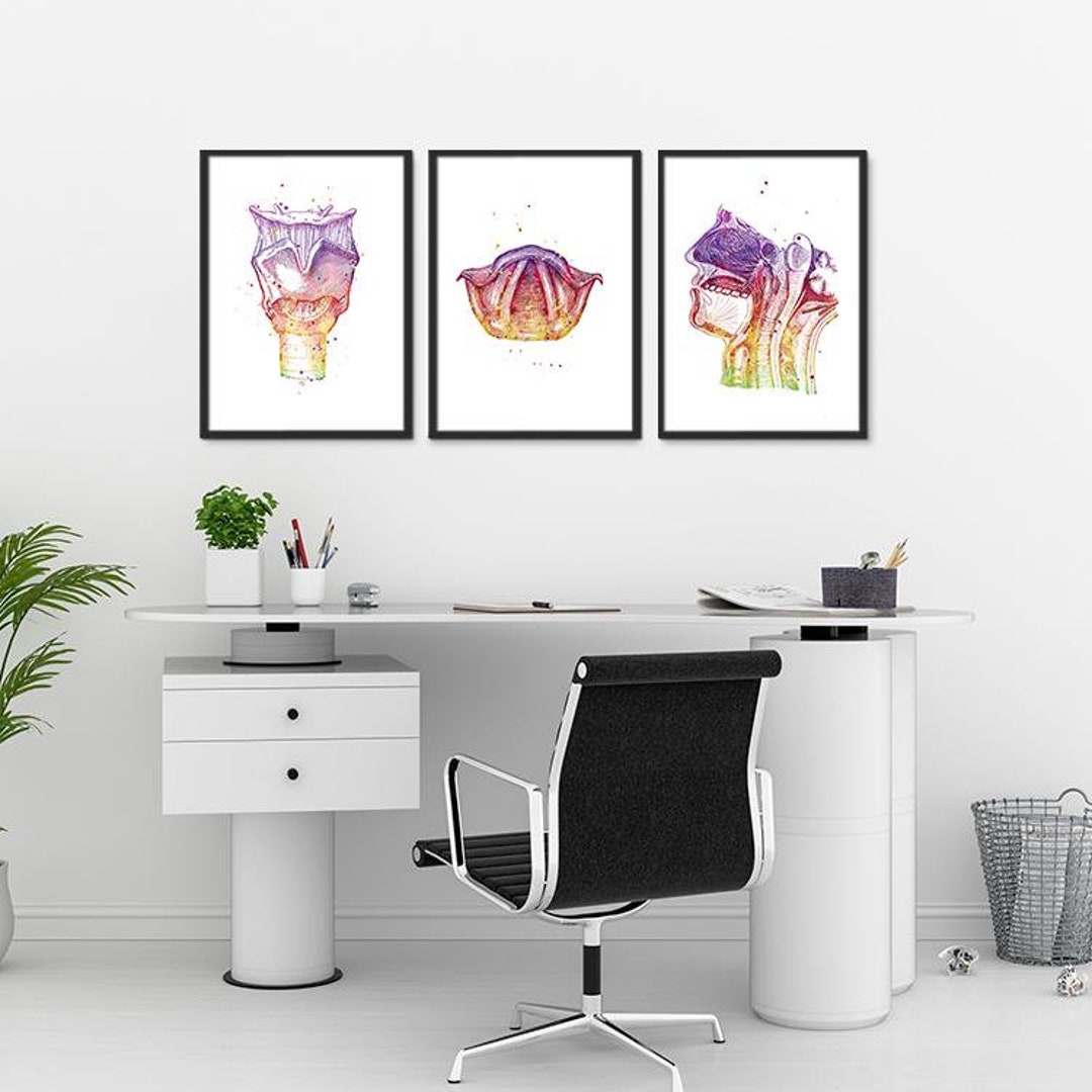 Speech Therapy Posters, SLP Doctor Office Decor, Set of 3 Anatomical ...