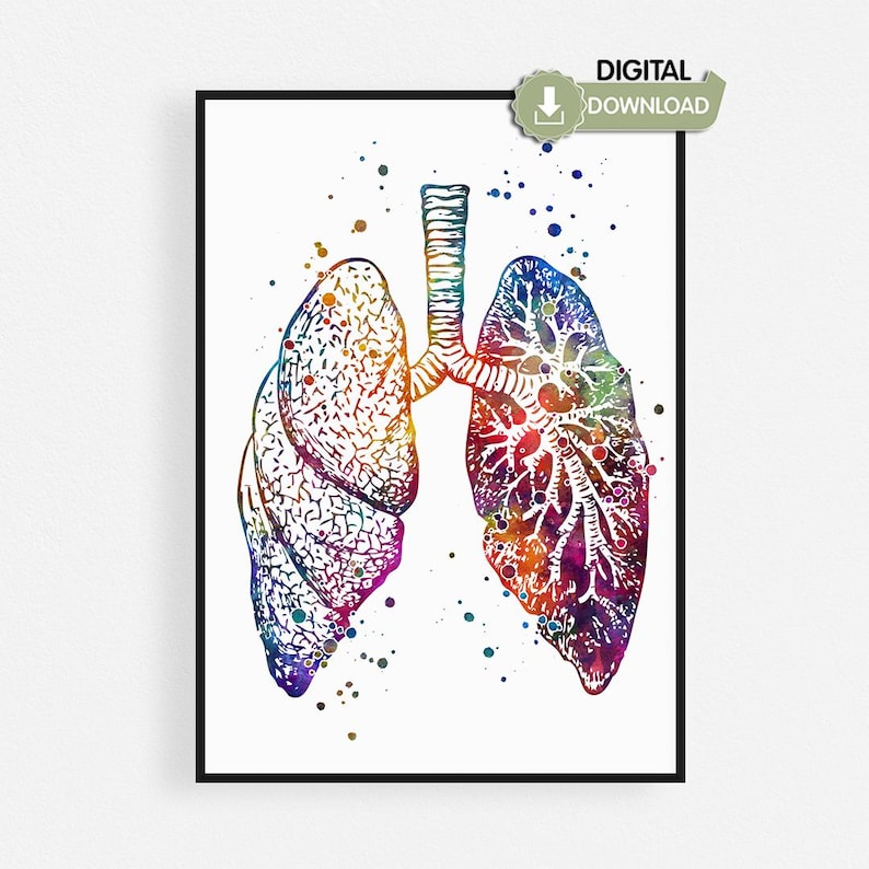 Lung Anatomy Print, Watercolor Lungs Wall Art, Pulmonologist Office ...