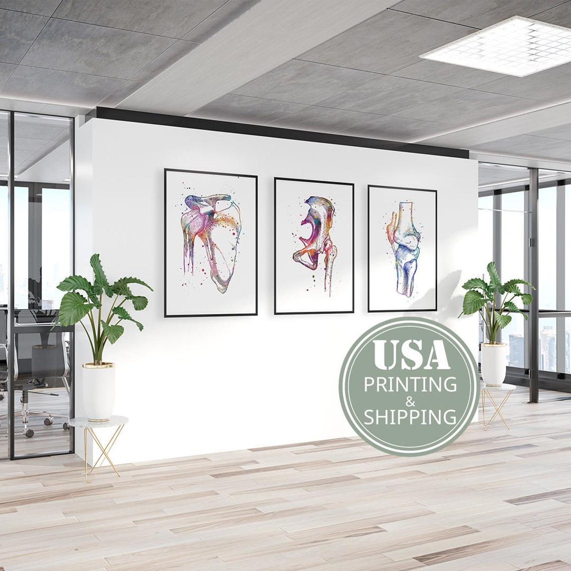 Human Anatomy Art Prints - Shoulder Hip and Knee Joint Anatomical ...