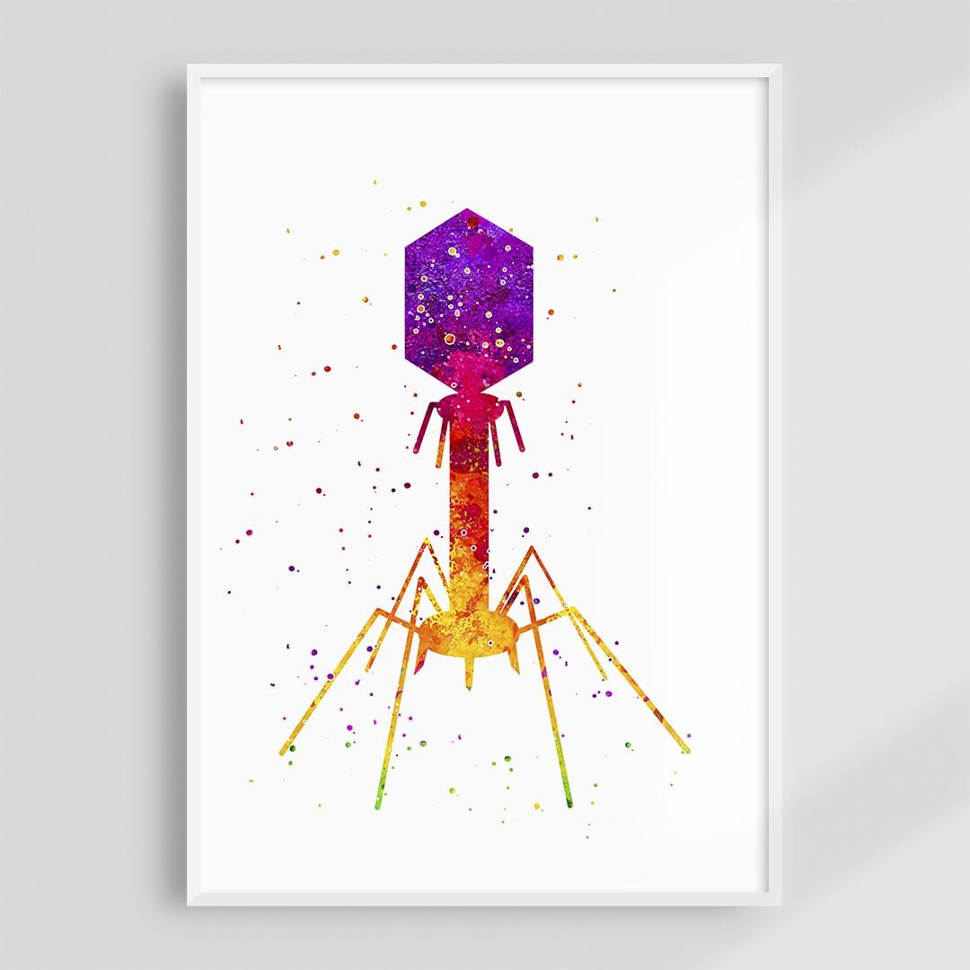 Bacteriophage Watercolor Art Print, Science Wall Decor for Students ...