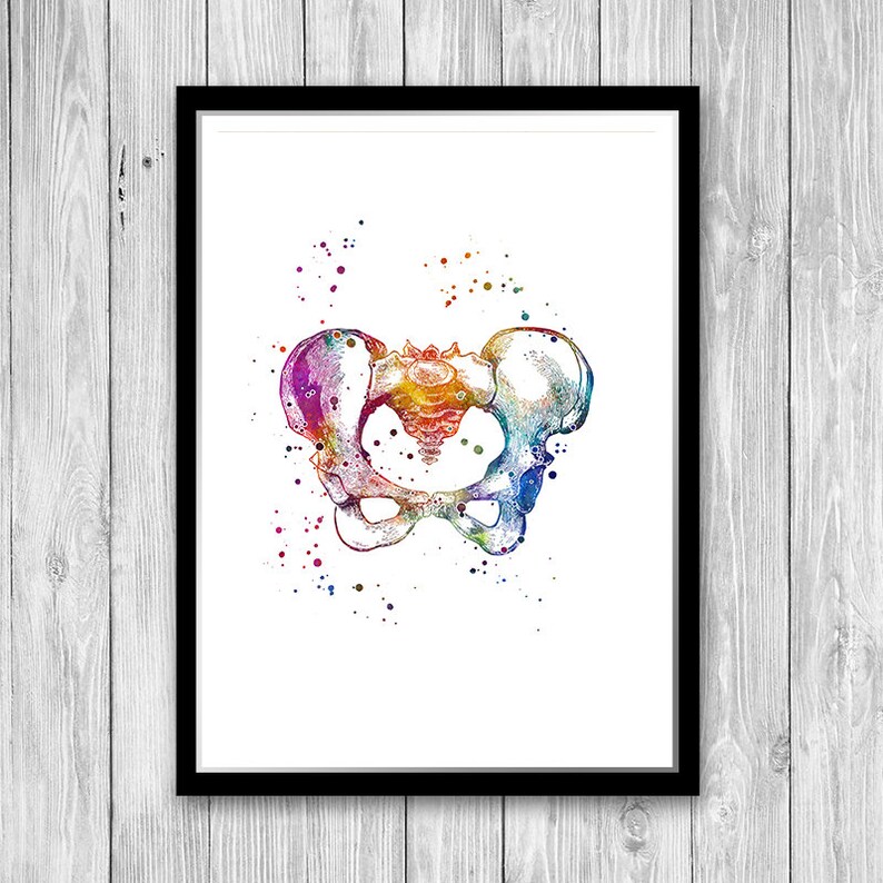 Female Pelvis Anatomy Art Watercolor Print Reconstructive | Etsy