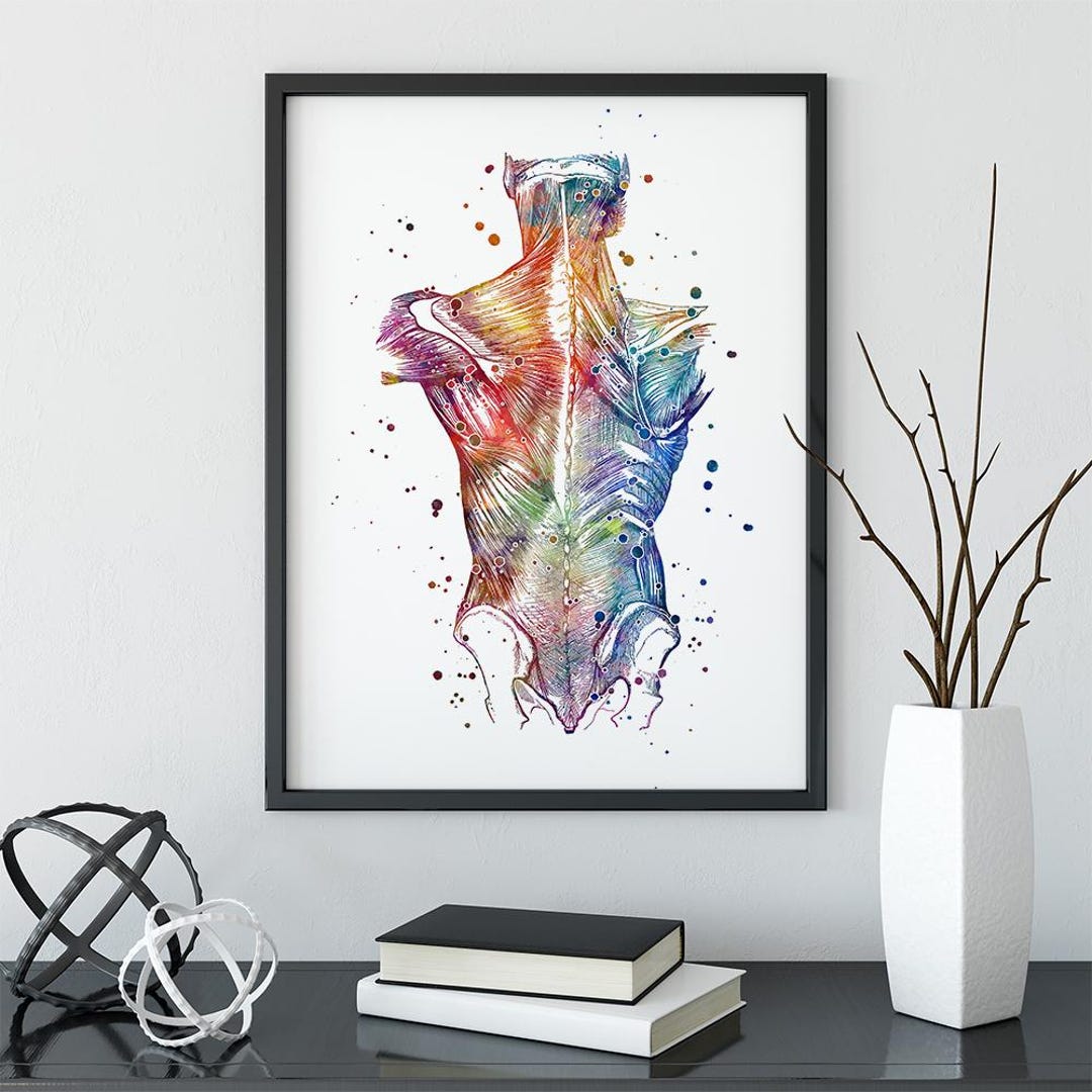 Back Muscles Watercolor Print - Human Anatomy Muscular System Poster ...