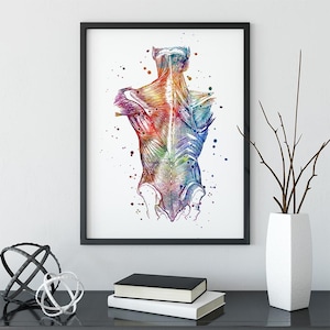 Back Muscles Watercolor Print - Human Anatomy Muscular System Poster ...
