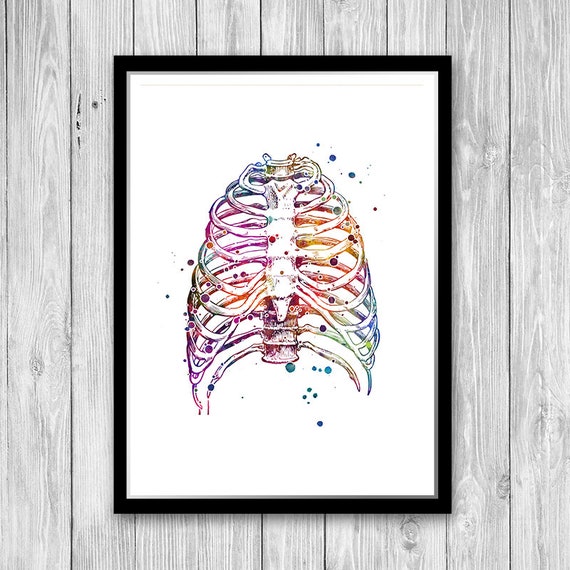 Thorax Watercolor Print Human chest Anatomy Art Doctor office | Etsy
