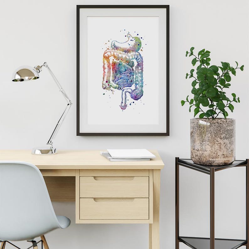 Digestive System Anatomy Printable Watercolor GI Tract Wall Art ...
