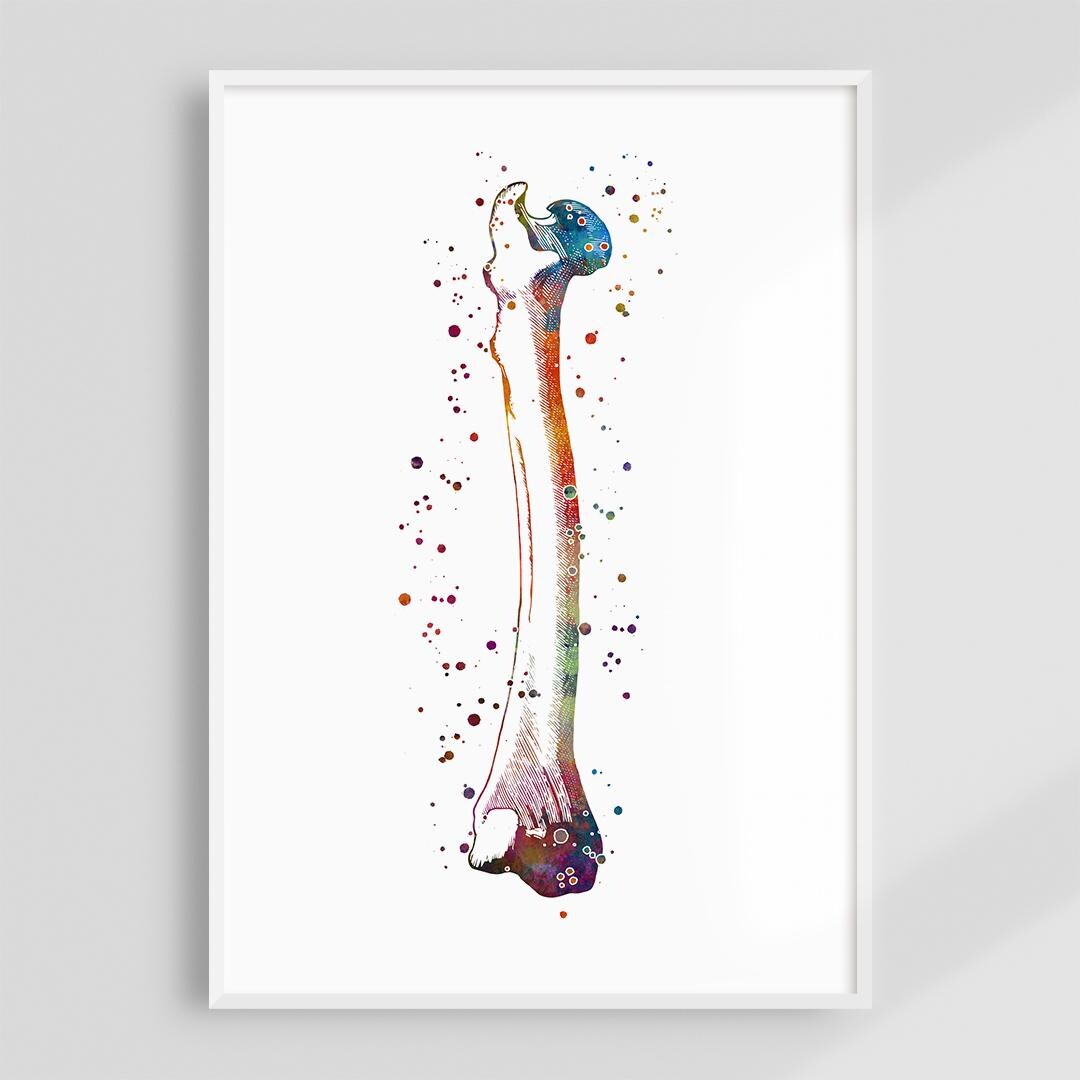 Femur Bone Watercolor Print, Human Anatomy Colorful Artwork, Orthopedic ...