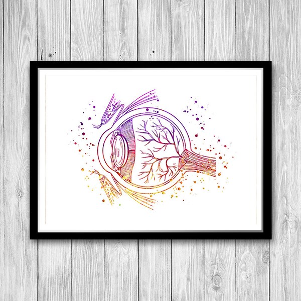 Eye Section Poster - Etsy