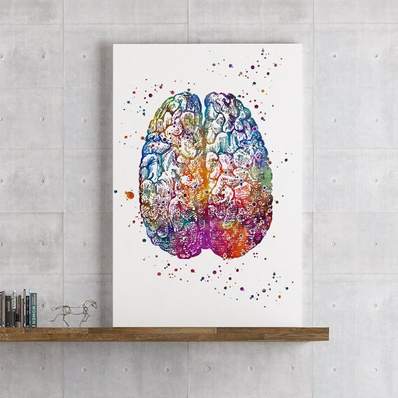 Brain Art School psychologist office decor Watercolor Print | Etsy