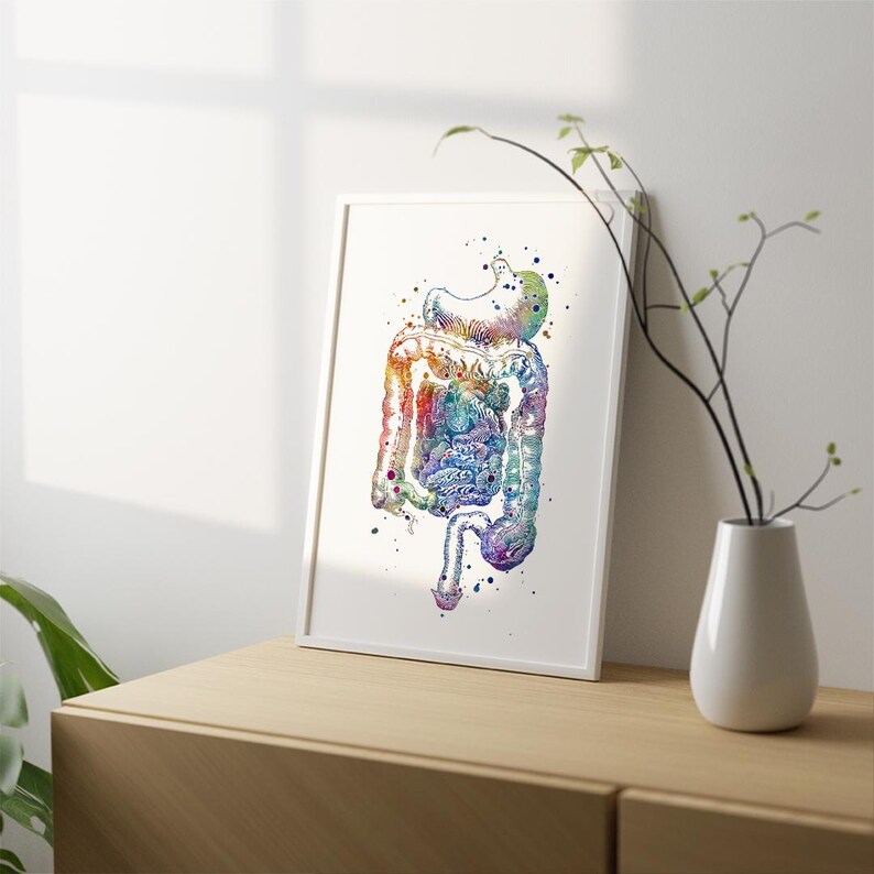 Digestive System Anatomy Printable Watercolor GI Tract Wall Art ...