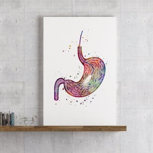 Endoscopy Gastroenterology Watercolor Art Print, Endoscope Poster, GI ...