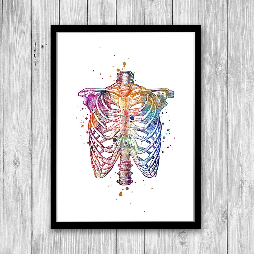 Human Chest Skeleton Rib Cage Thorax Anatomy Art Watercolor Print ...