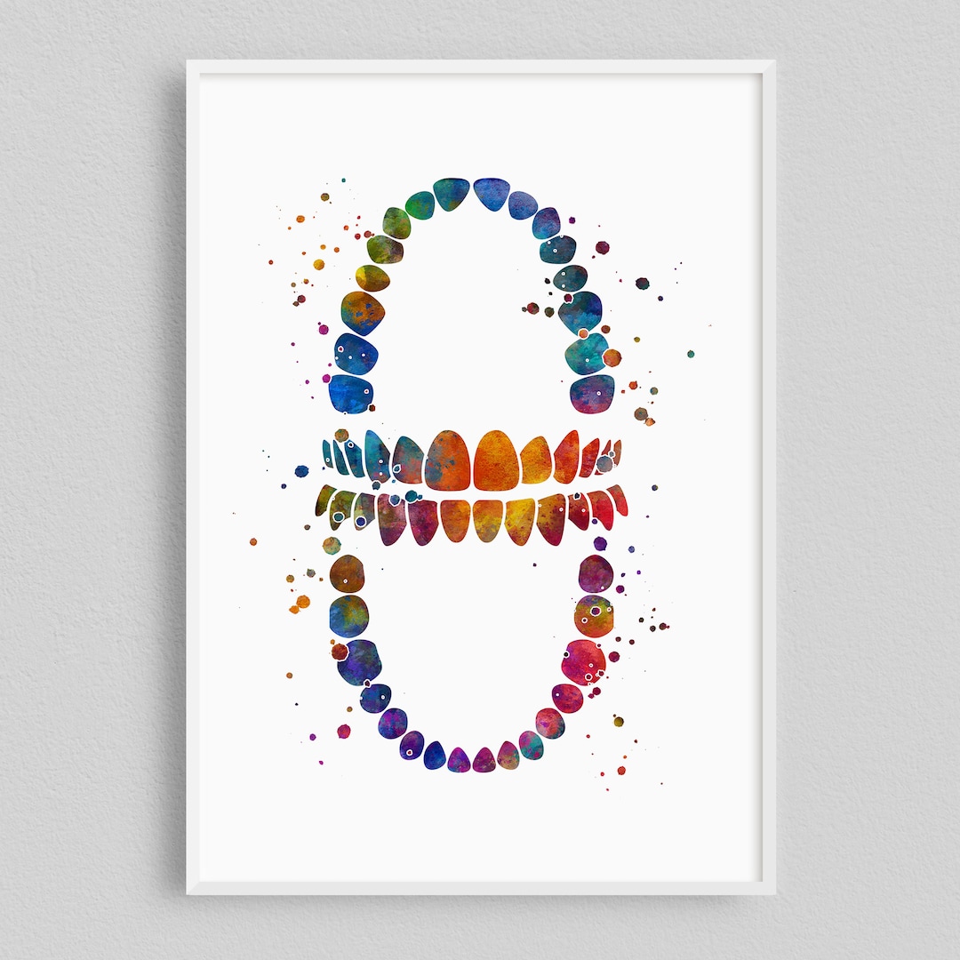 Tooth Chart Dental Office Wall Art | Multicolored Watercolor Artwork ...