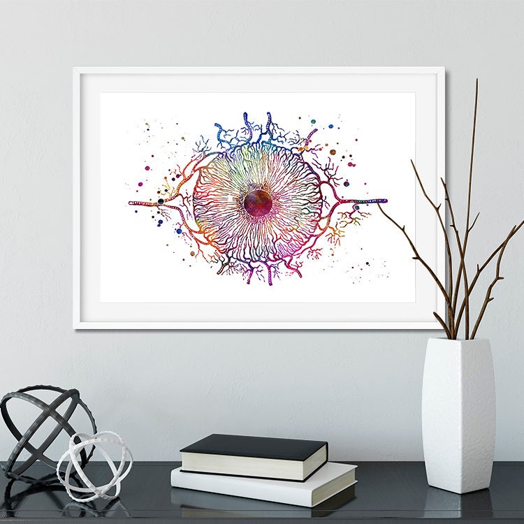Iris Eye Anatomy Watercolor Print Optometry Ophthalmology Art | Etsy