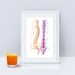 Spinal Column Human Spine Anatomy Art Watercolor Print - Etsy