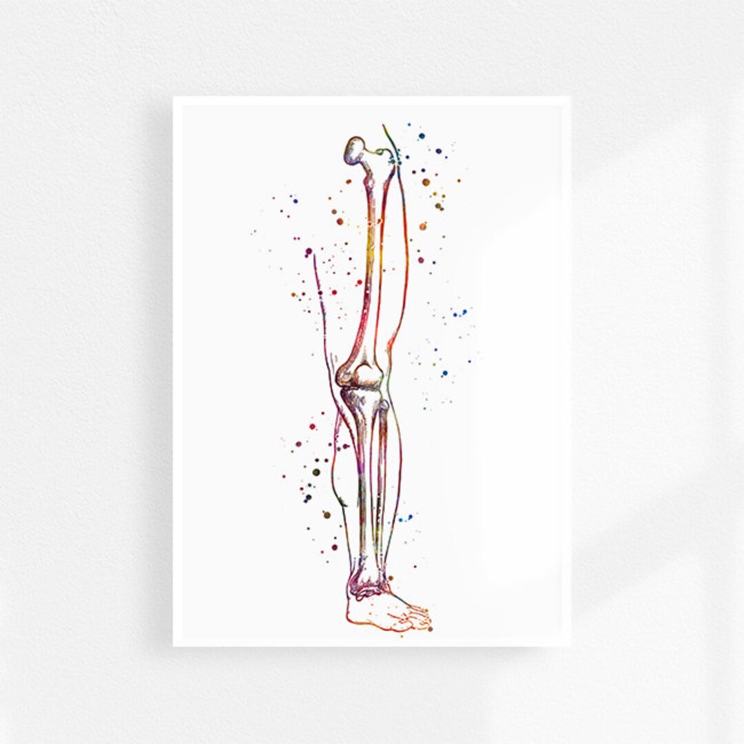Leg Bones Human Anatomy Art Watercolor Print, Orthopedic Surgeon ...