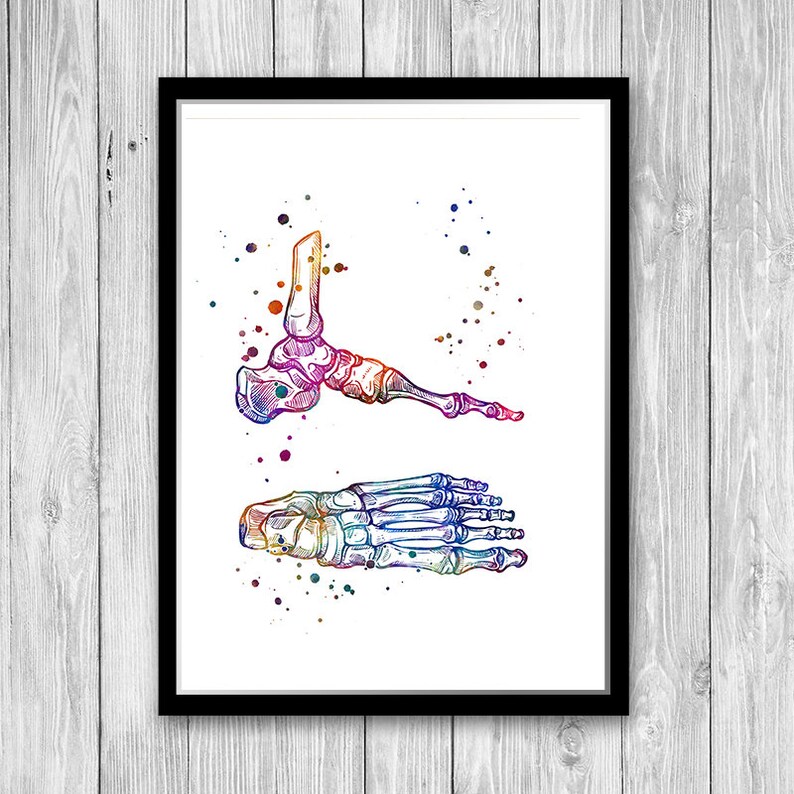 Human Foot and Ankle Bones Watercolor Anatomy Art Print - Etsy