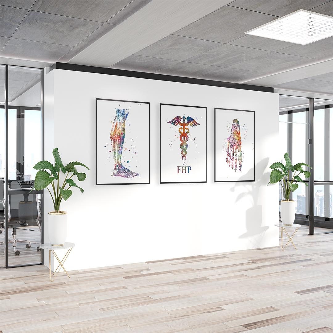 Foot Anatomy Art, Set of 3 Multicolored Watercolor Prints, Foot Health ...