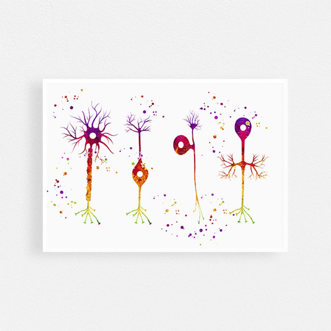Types of Neurons Watercolor Print, Neuroscience Art - Etsy