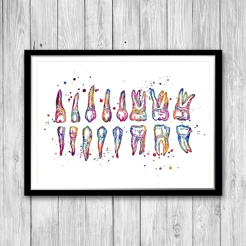 Dental Art Human Teeth Watercolor Print Office Decor | Etsy