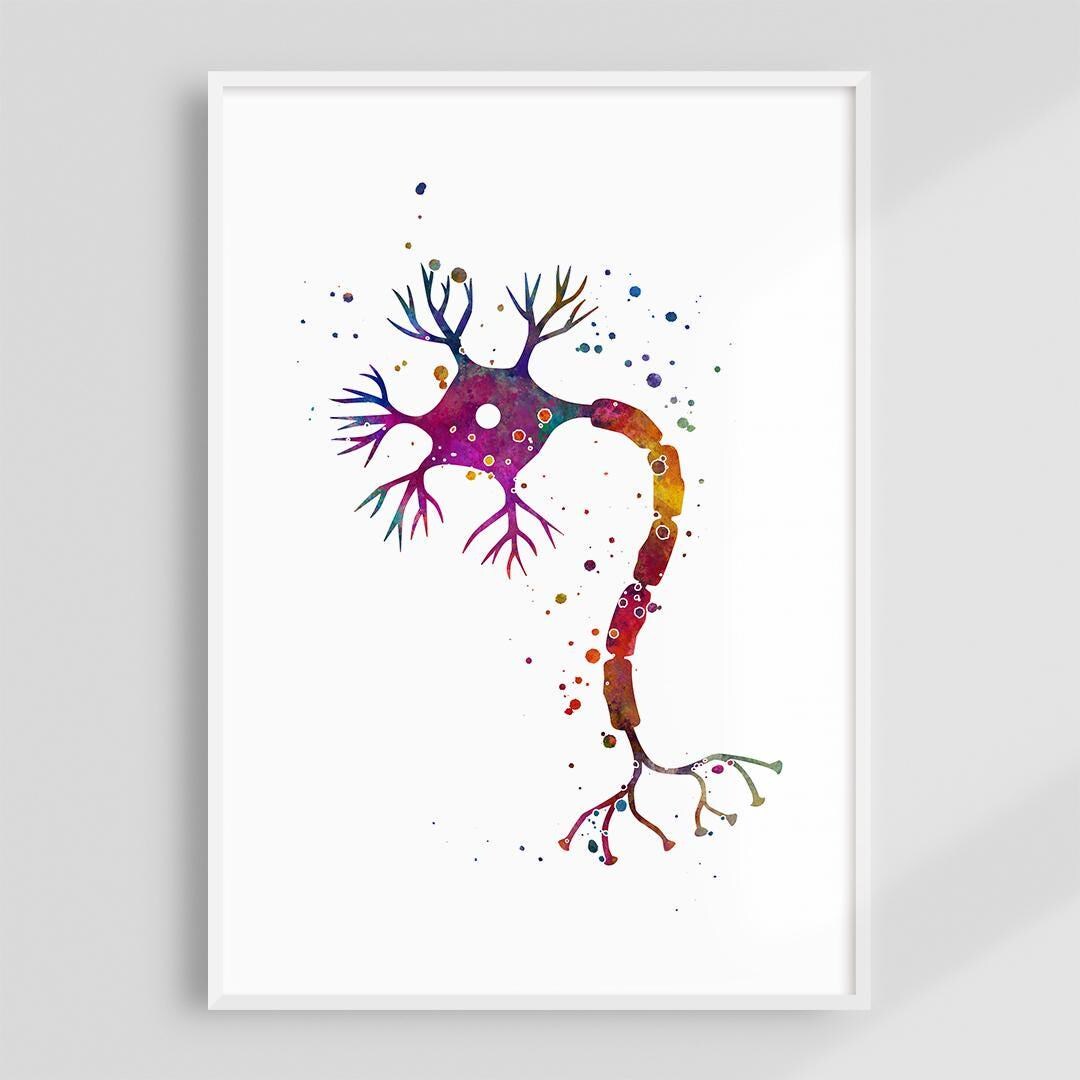 Nerve Cell Watercolor Print, Neuroscience Colorful Artwork, Neuron Wall ...