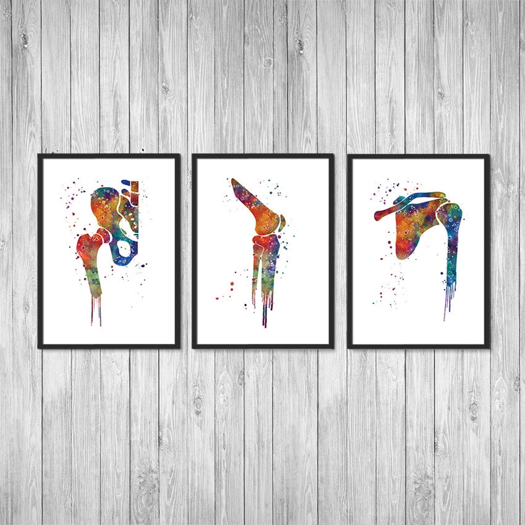 Orthopedic Surgery Clinic Decor Hip Joint, Knee and Shoulder ...