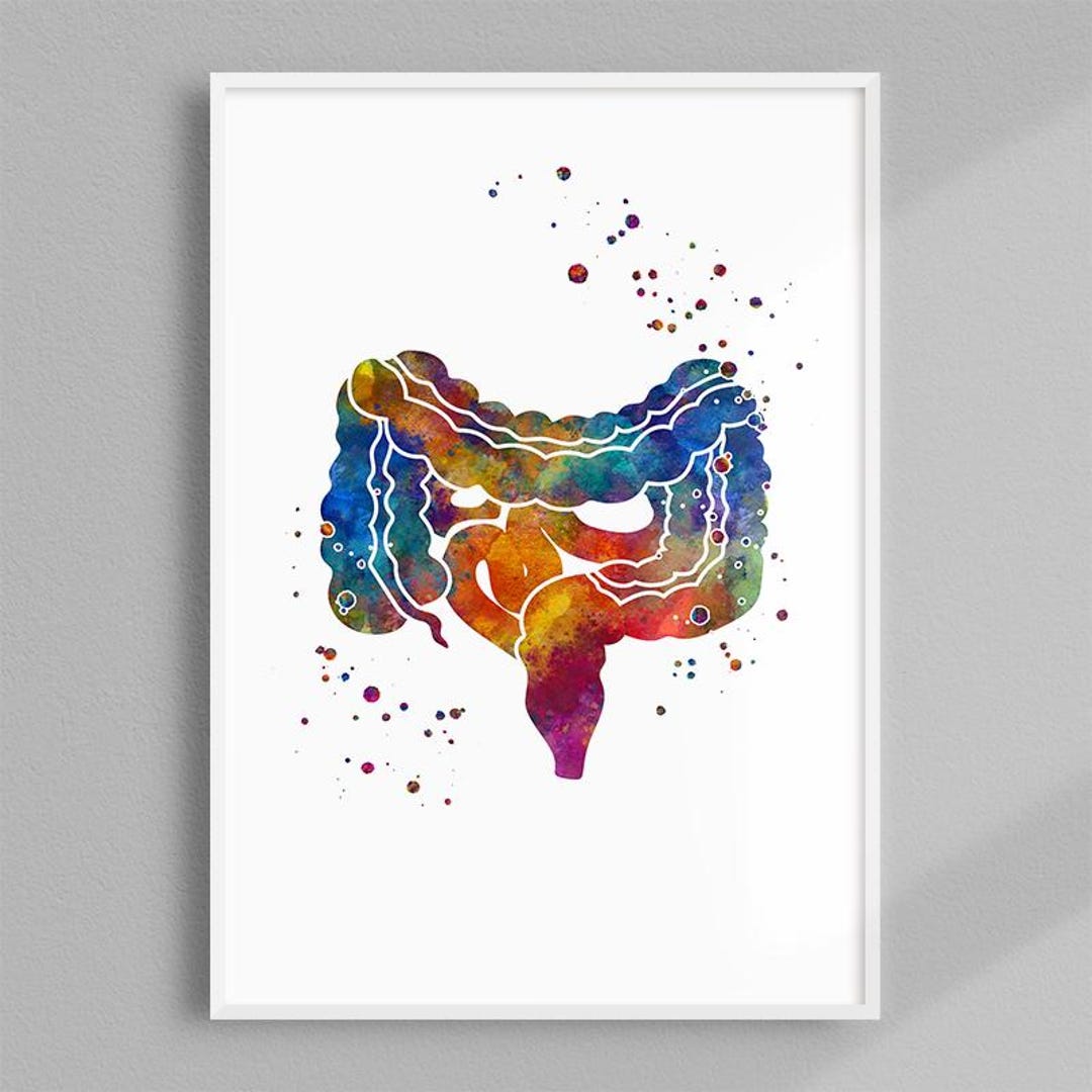Large and Small Intestine Watercolor Print, Gi Tract Anatomical Poster ...