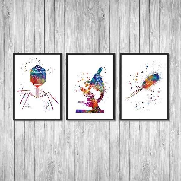 Microbiology Poster - Etsy