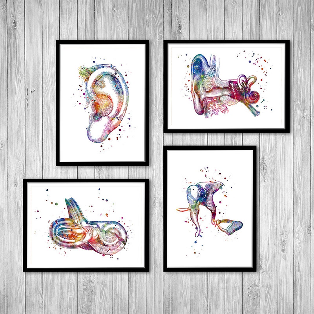 Audiology Art Human Ear Anatomy Watercolor Prints Set of 4 Audiologist ...