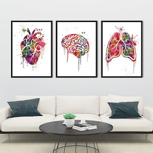 Anatomy Art Set of 3 Heart Brain Lungs Watercolor Prints Medical School ...