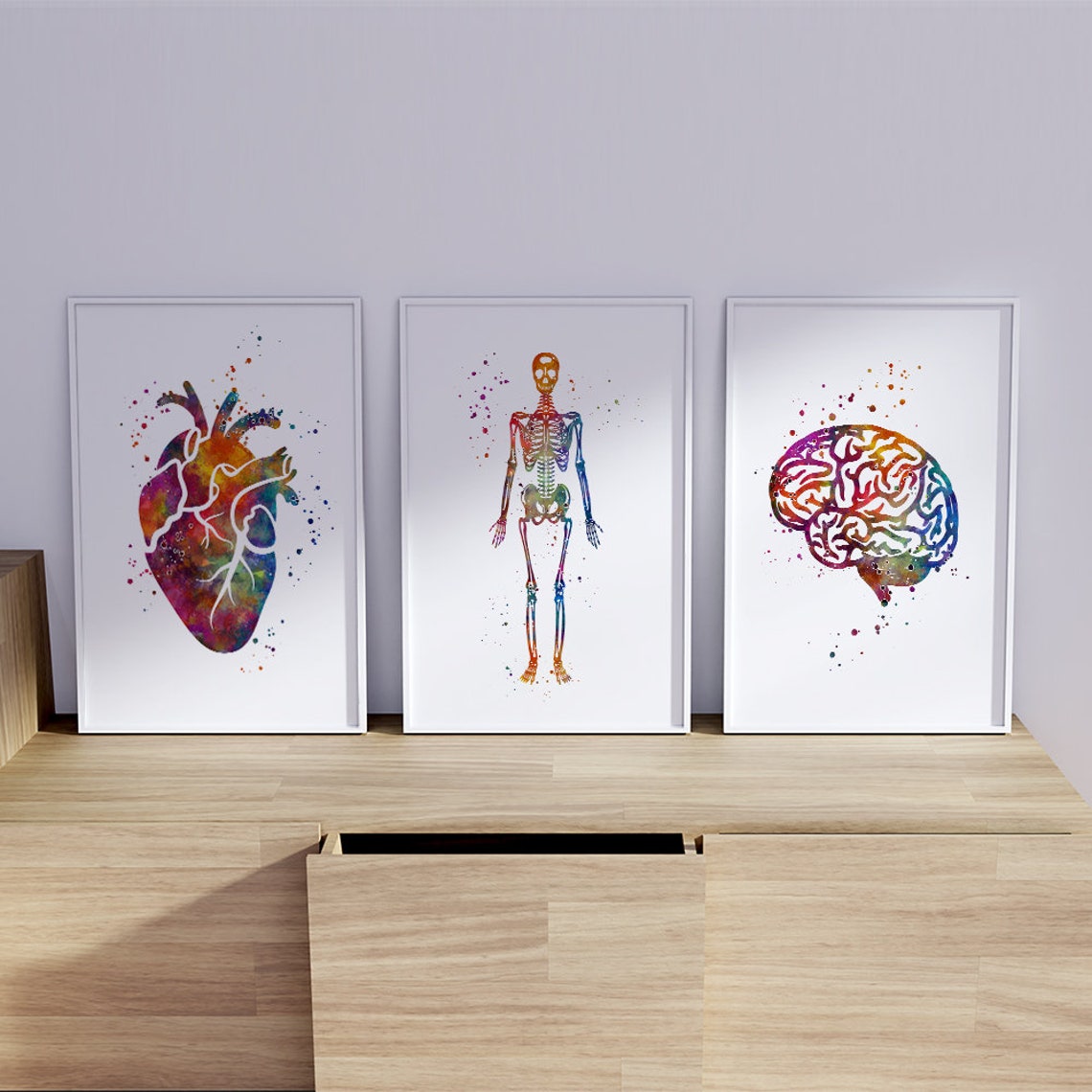 Human Anatomy Art, Anatomical Heart Brain and Skeleton, Set of 3 ...