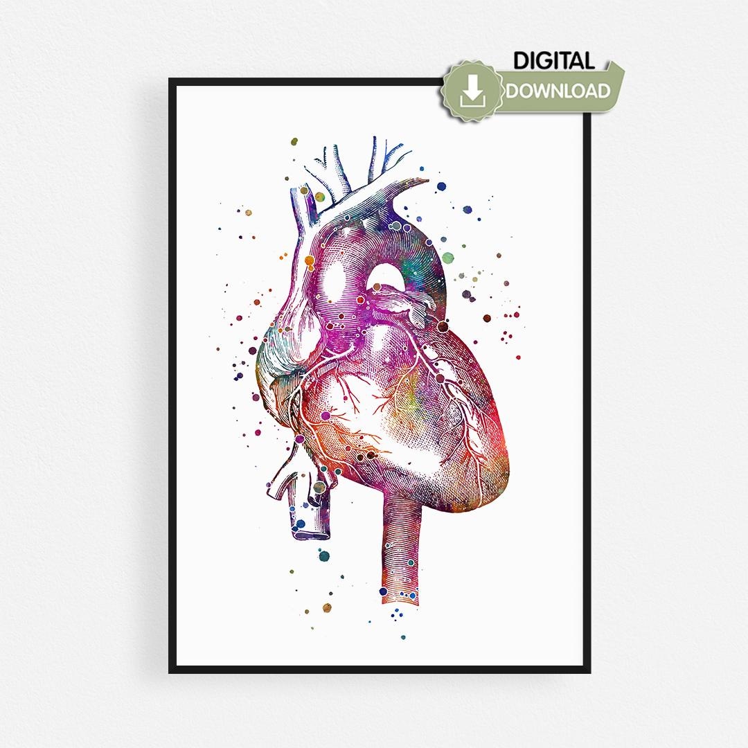Anatomical Heart Watercolor Printable, Cardiology Wall Art, Medical ...