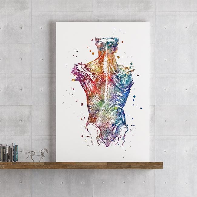 Physical Therapy Art, Set of 3 Watercolor Medical Posters, Chiropractic ...