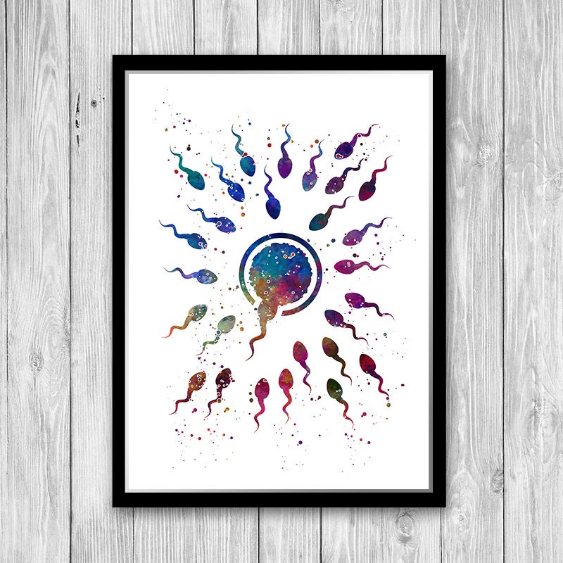 Reproductive System Fertilization Watercolor Print Set Sperms - Etsy